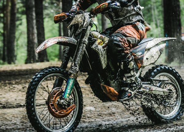 Motori trkacki kroz sumu voznja – Posteraj - štampa i uramljivanje