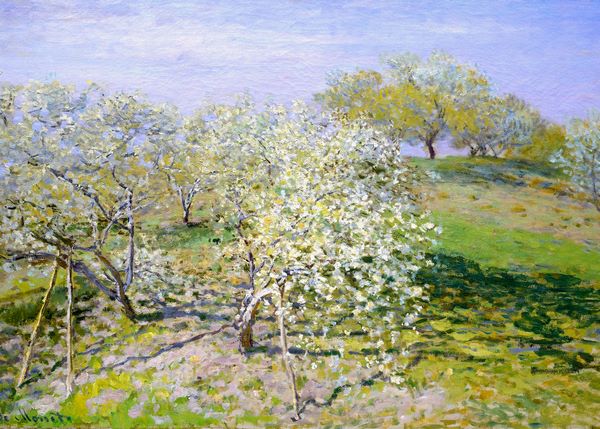 Claude Monet, Apple Trees In Bloom, 1873 – Posteraj - štampa i uramljivanje