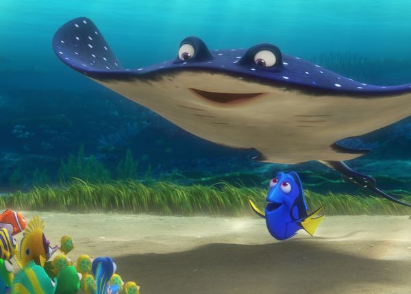 Finding Dory Mr.Ray – Posteraj - štampa i uramljivanje