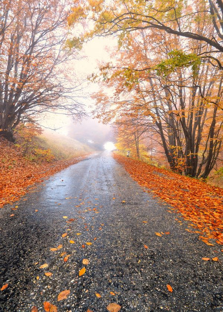 Slike prirode za tvoj dom – Stranica – Posteraj - štampa i uramljivanje