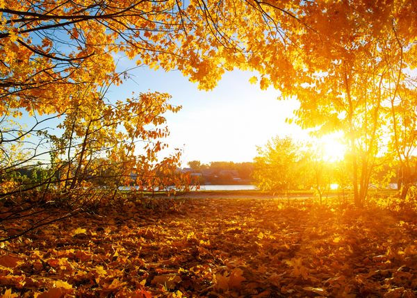 Jesen novembar – Posteraj - štampa i uramljivanje