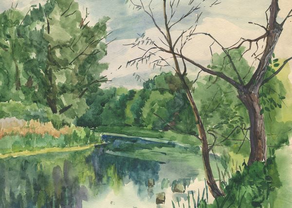 Drvece – Posteraj - štampa i uramljivanje